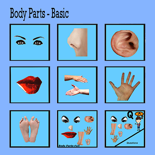 Body Parts – Basic