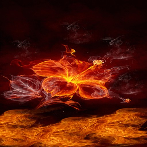 Fiery Flower Live Wallpaper