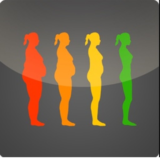 BMI Calculator App calculate and evaluate your Body Mass Index