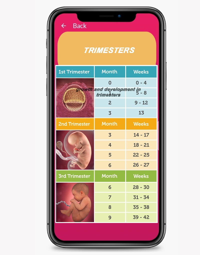 Best Pregnancy Apps Week By Week Pregnancy App Best Pregnancy Apps Week By Week Pregnancy App