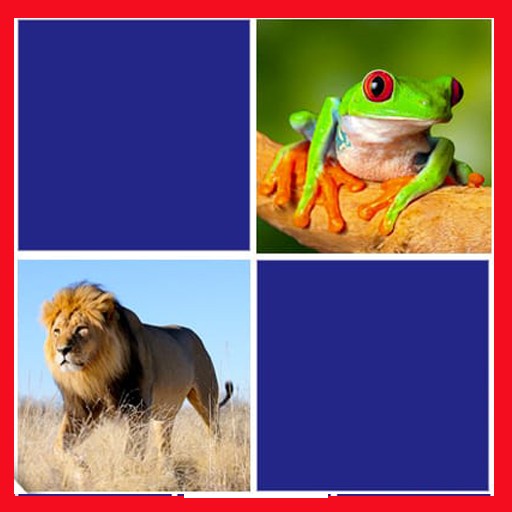 Animal Memory - Brain Logic